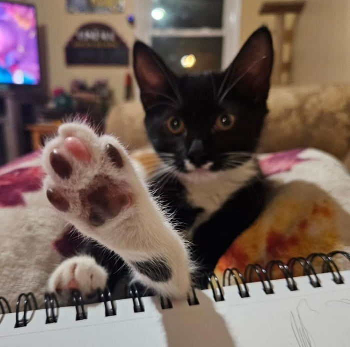 Peet pics on OnlyFurs - 9GAG