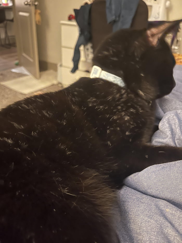 Does Nadia still count as a void? - 9GAG