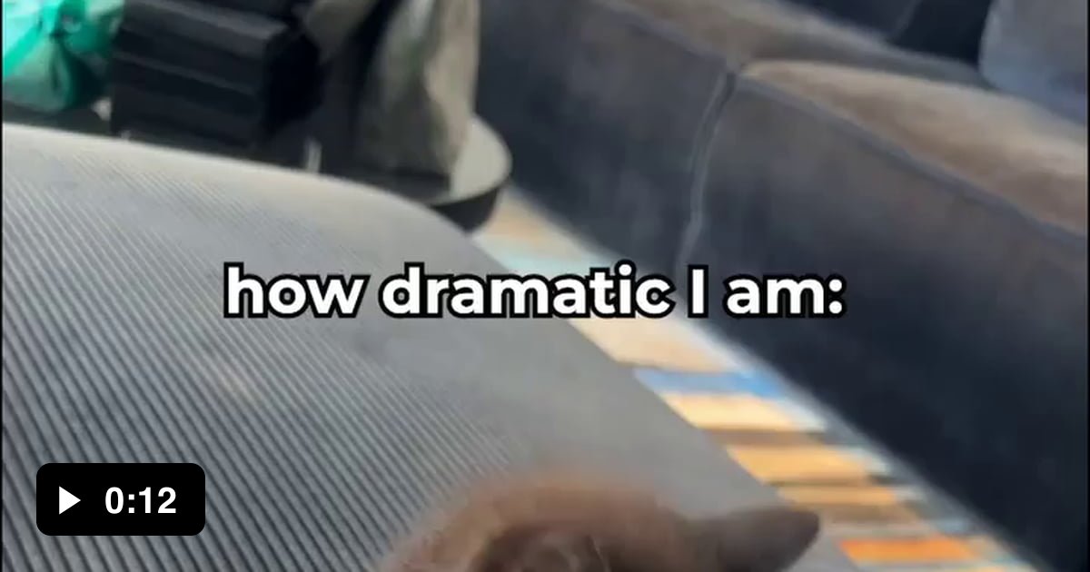 Most Dramatic Kitten Ever - 9GAG