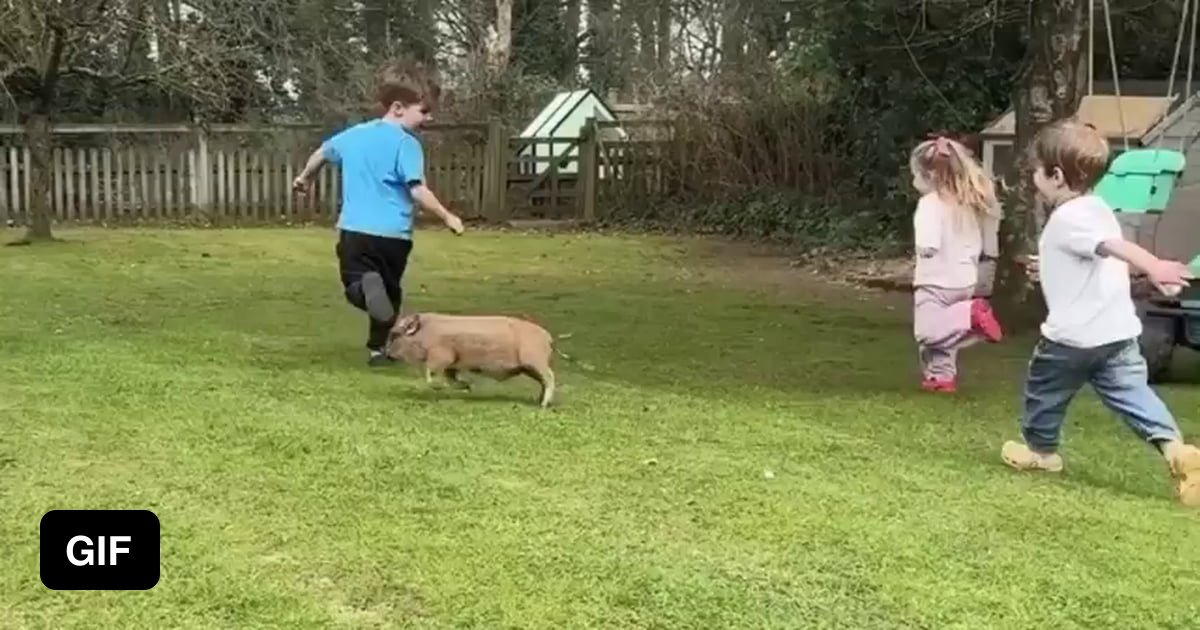 All the kids running around the tree - 9GAG