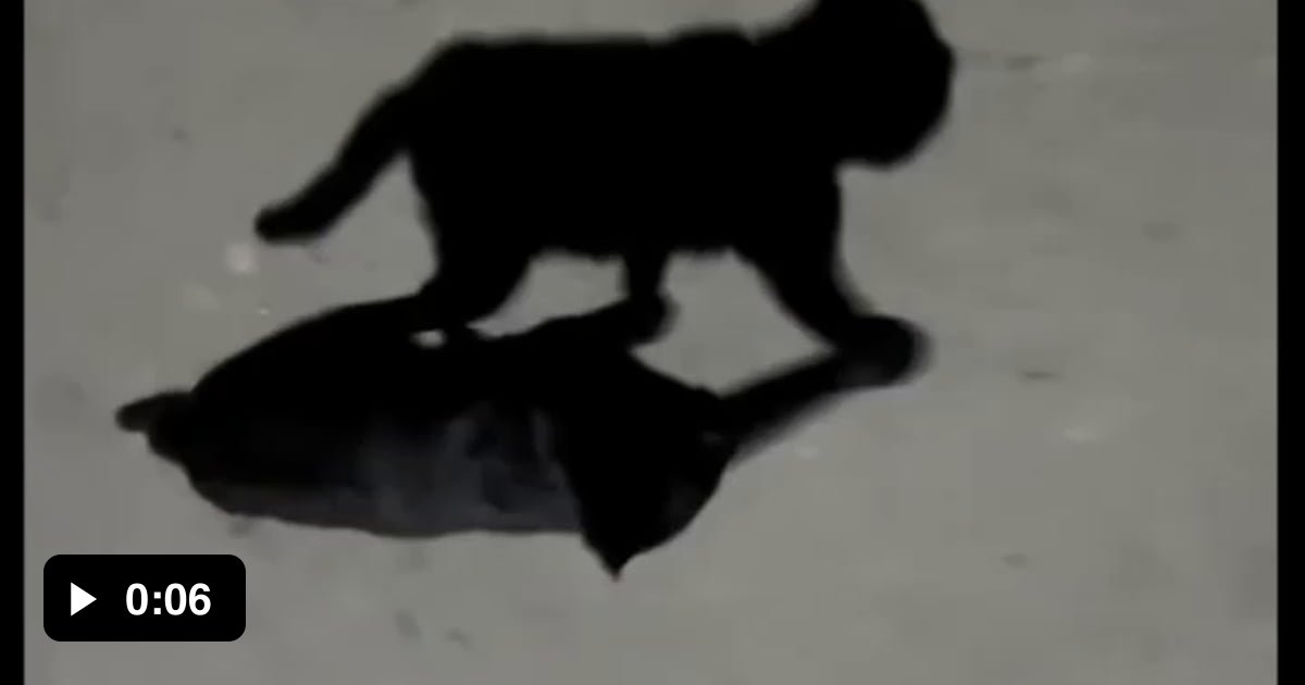 I am shadow, I am death... no not that shadow... - 9GAG