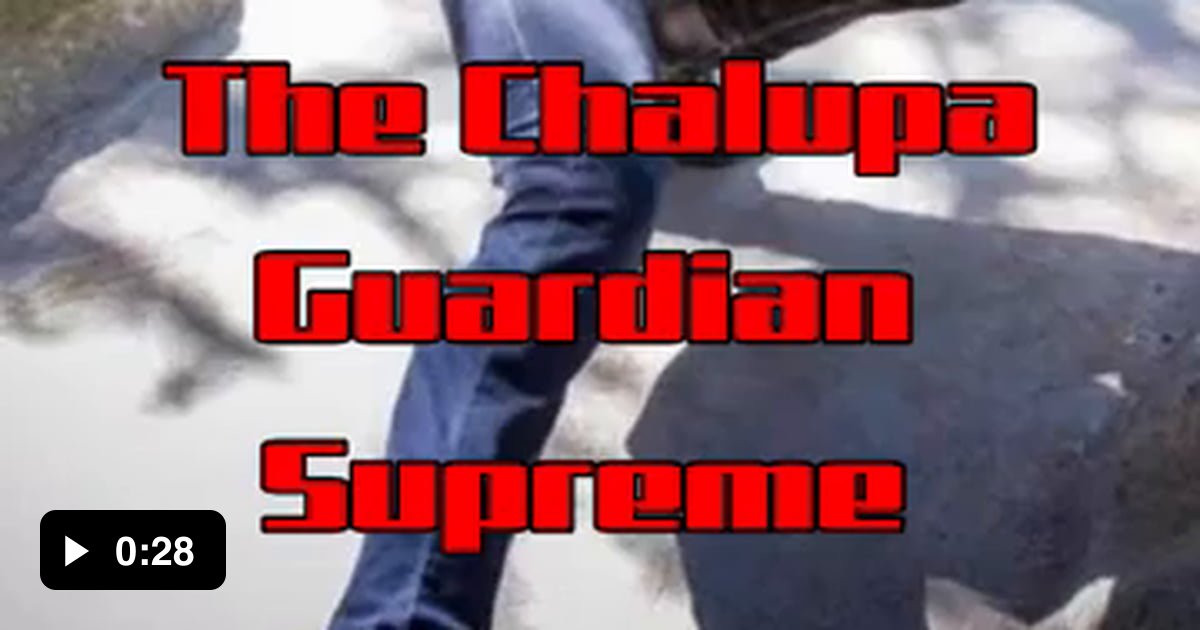 El Di-Pablo, The Chalupa Guardian Supreme - 9GAG