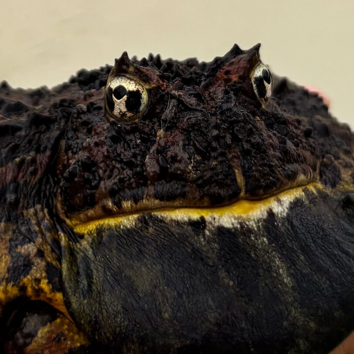 This is not a landscape. This day is Wednesday. - 9GAG