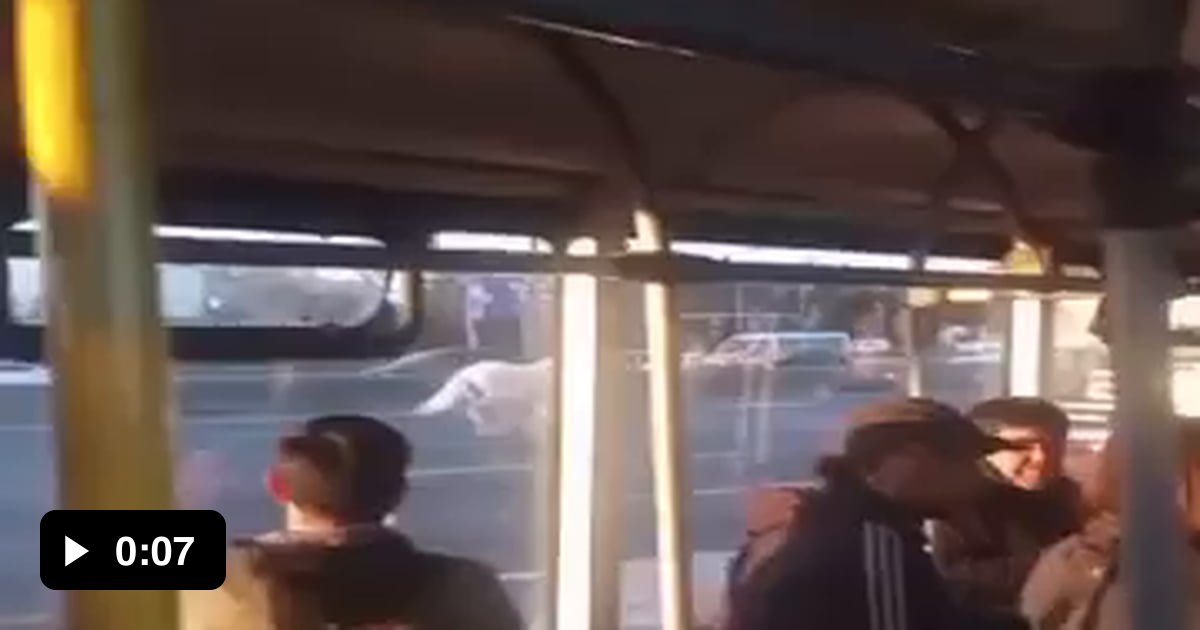 Shadowfax spotted! - 9GAG