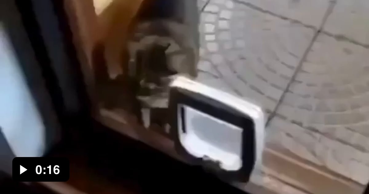 Professional Boxer - 9GAG