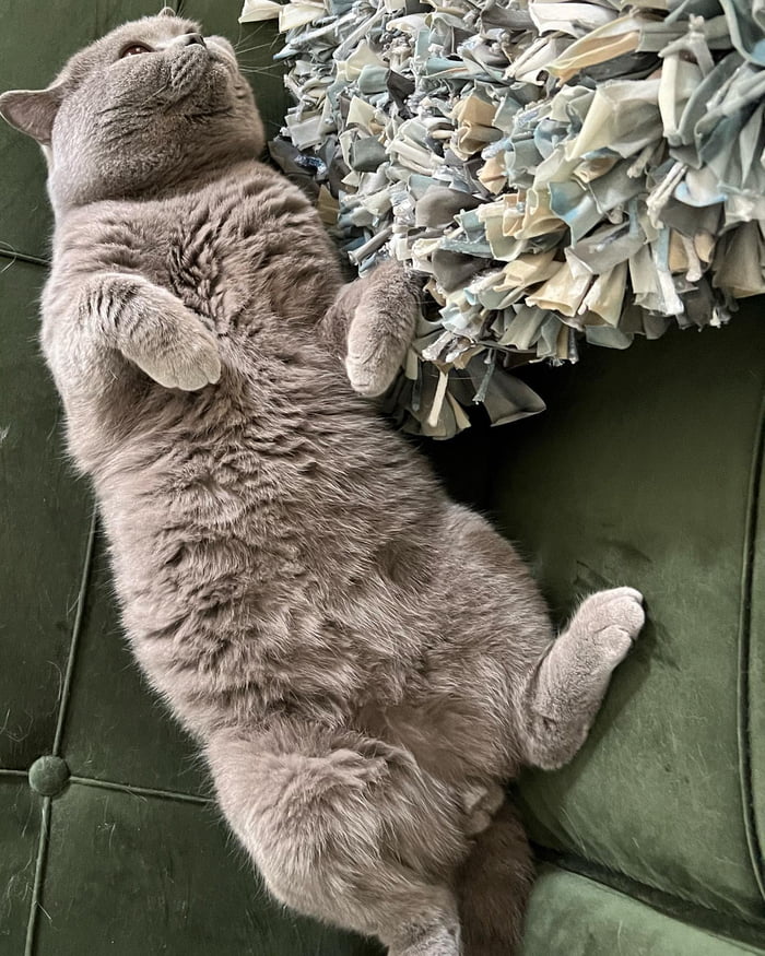 Belly Up Relaxation - 9GAG