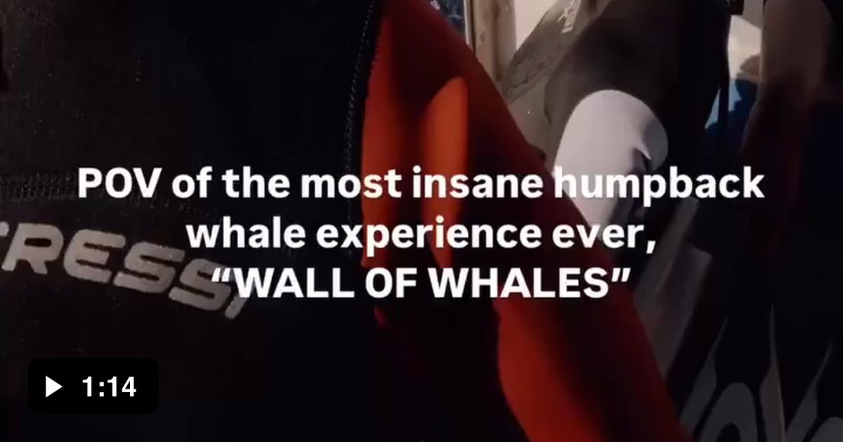 Monsters below - 9GAG