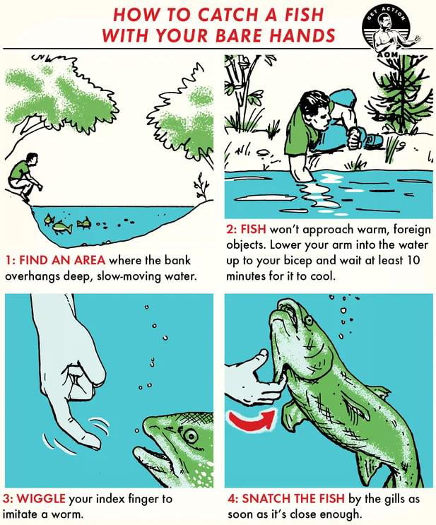A cool guide on how to catch a fish with your bare hands - 9GAG