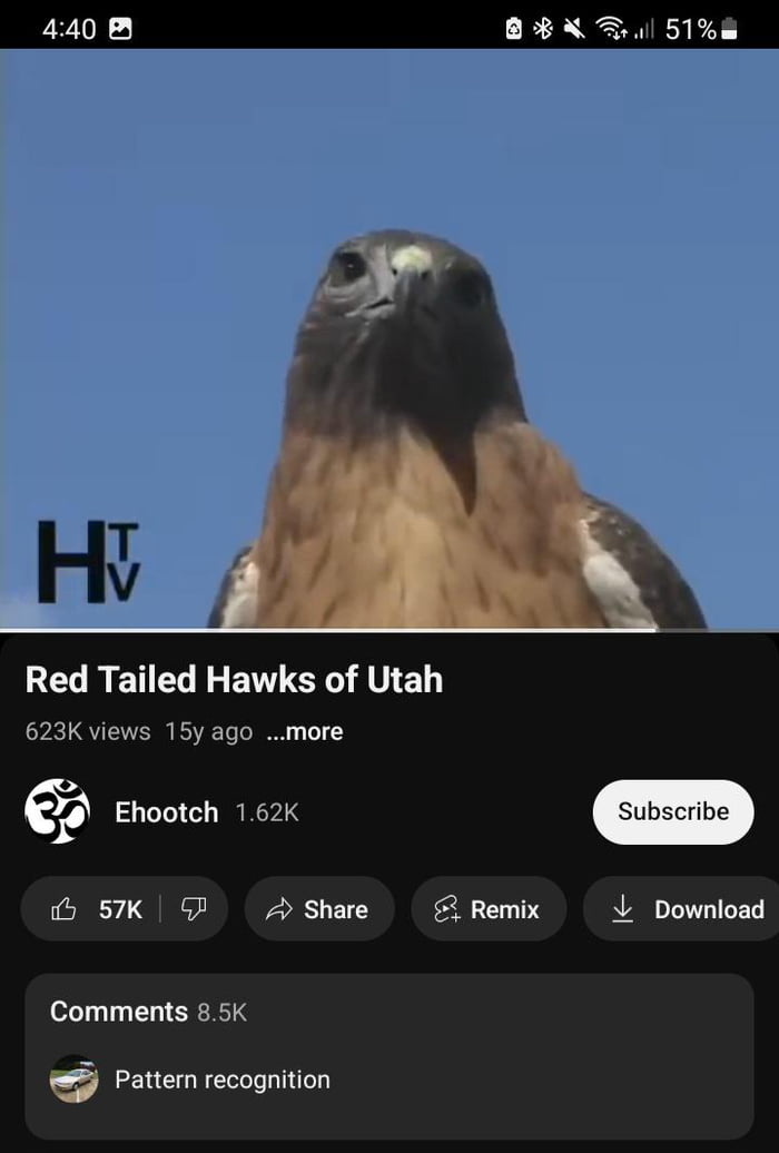 Hawk of pattern recognition - 9GAG