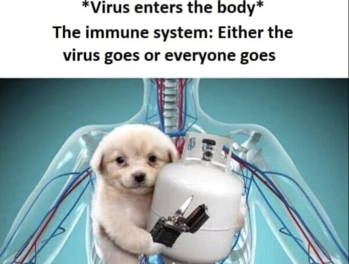 If you're alive, your immune system has never lost a war. - 9GAG