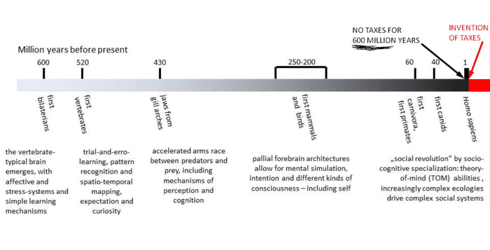 Timeline of the evolution of the vertebrate brain, driven by selection ...