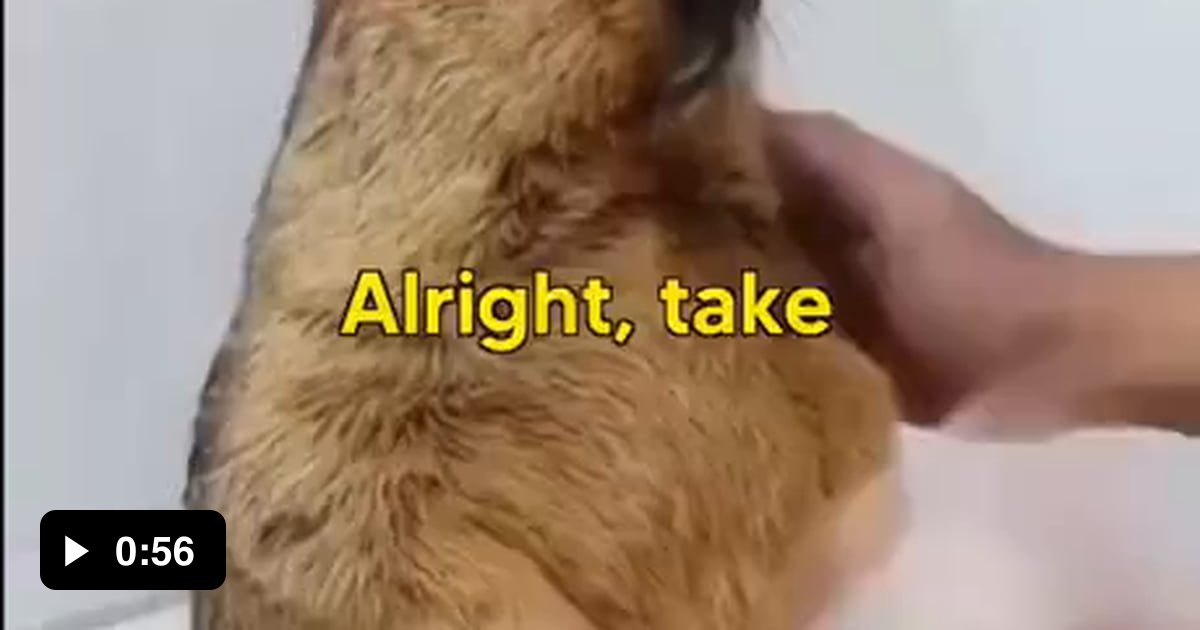 This needs to be posted here every week ! - 9GAG