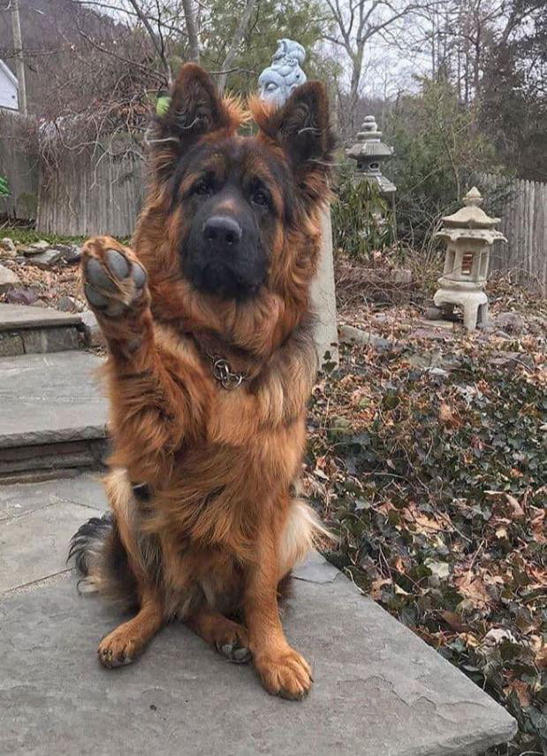 Billy is saying hello to everyone of you - 9GAG