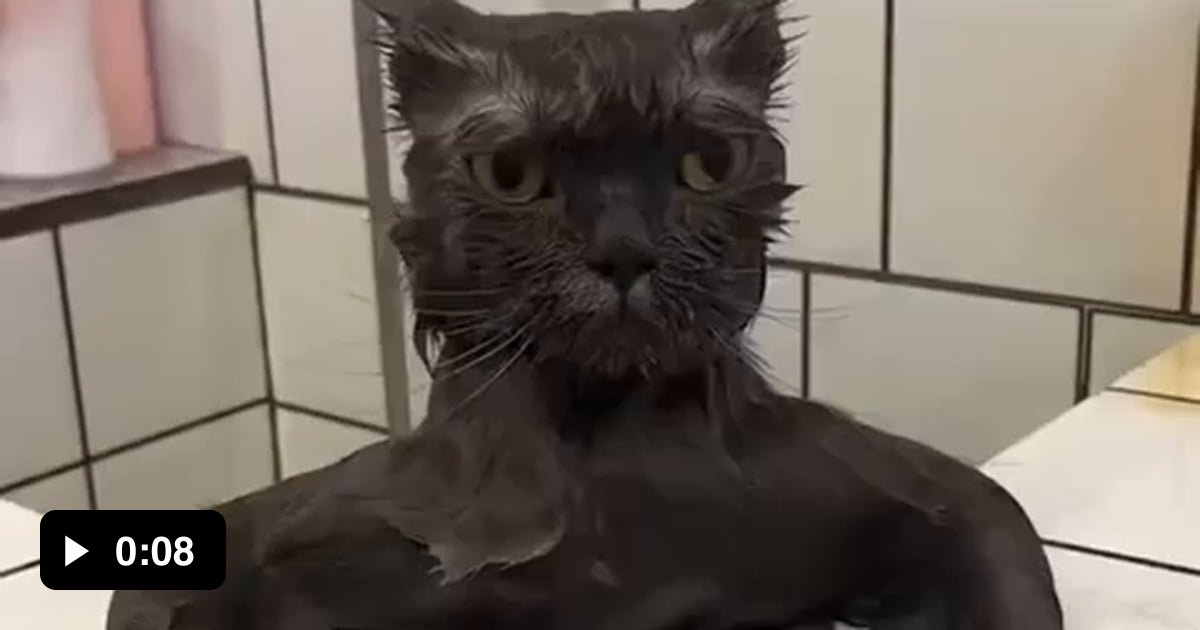POV: When you just wanted a quiet day, but it's bath time - 9GAG