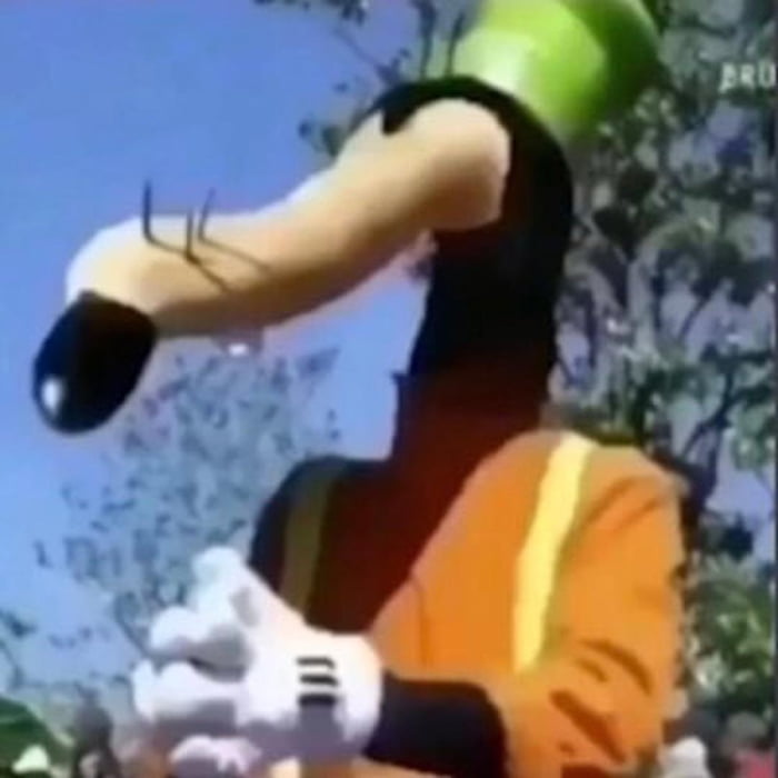 Goofy the crack hound - 9GAG