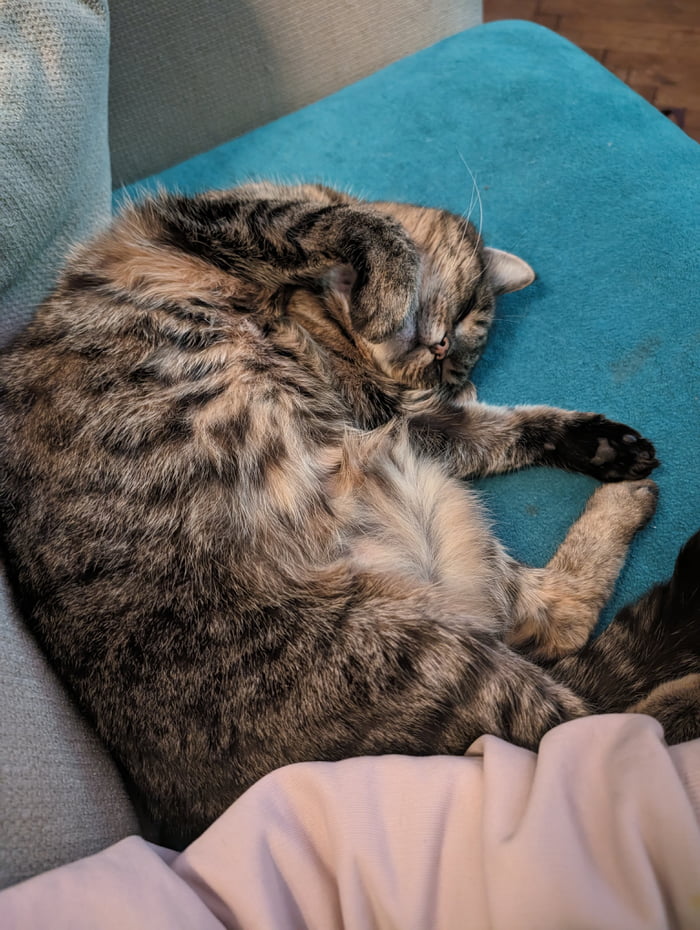 Just a quick scroll brake for 11y/o chichi - 9GAG