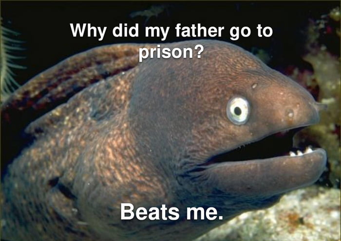 Bad Joke Eel - 9GAG