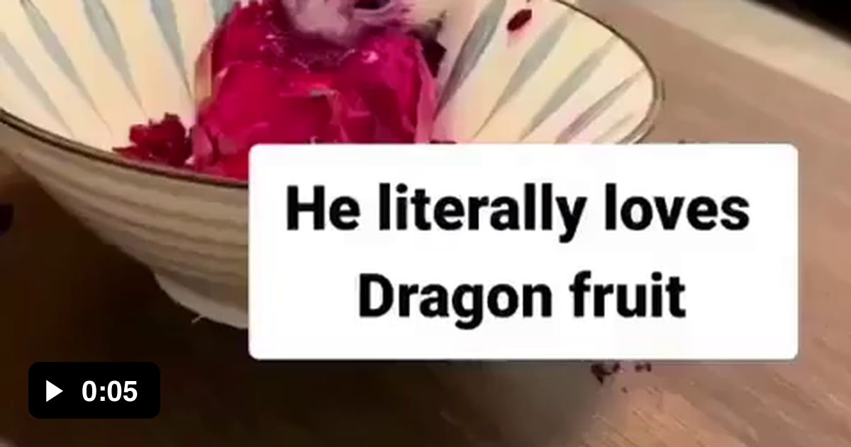 This cat really loves dragon fruit! - 9GAG