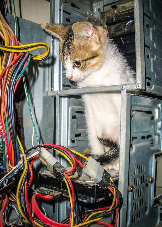 PC build technician - 9GAG