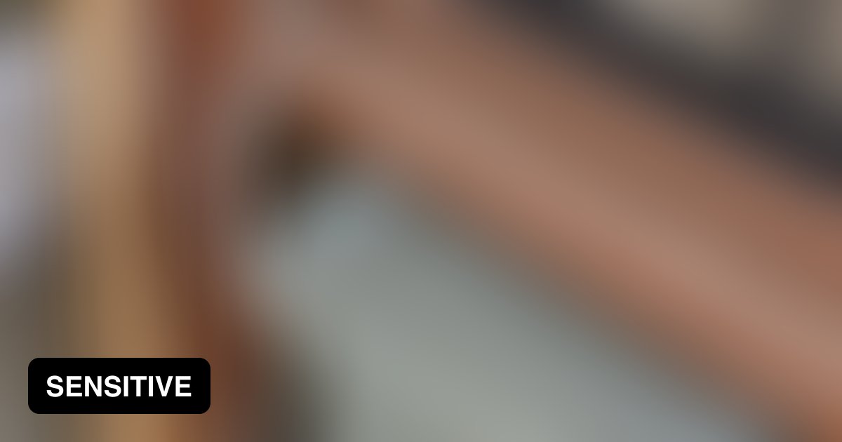 Some little Great Tits - 9GAG