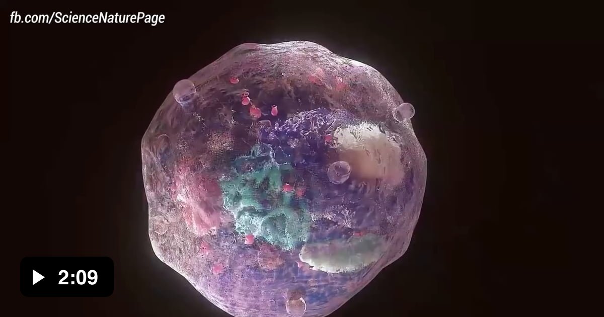 Inside the Living Cell - 9GAG