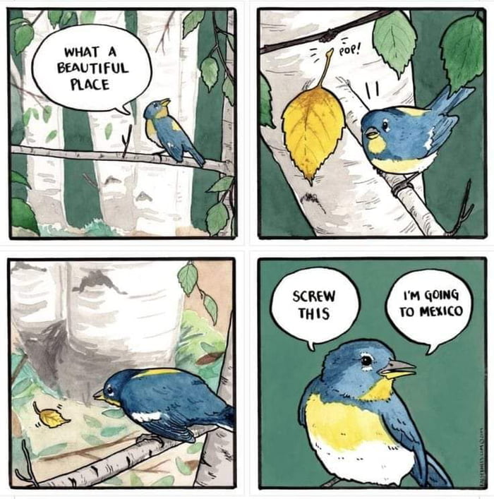 What tricks can short and witty titles even do? - 9GAG