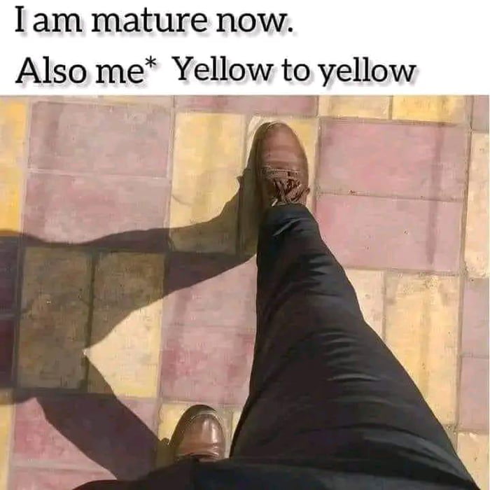 Embracing Maturity but also me walk only Yellow to Yellow - 9GAG