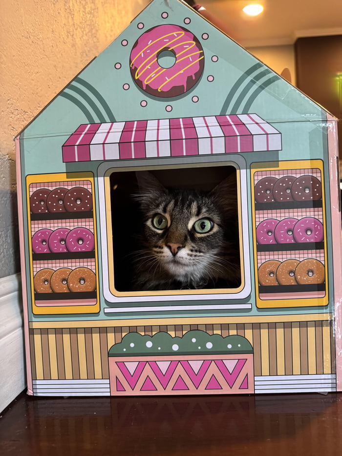 Donut Shop Worker at your service! - 9GAG