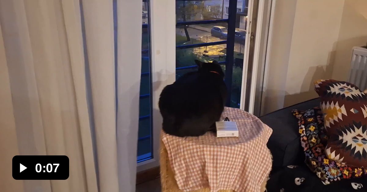 She likes watching the rain - 9GAG