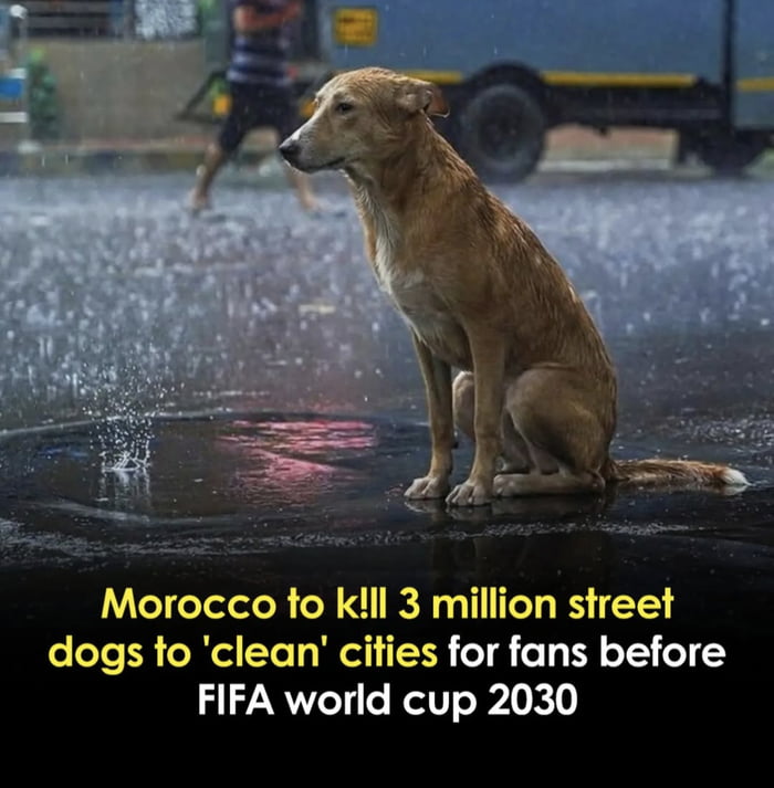 Let's kill 3 million innocent dogs to make way for few thousand fifa ...