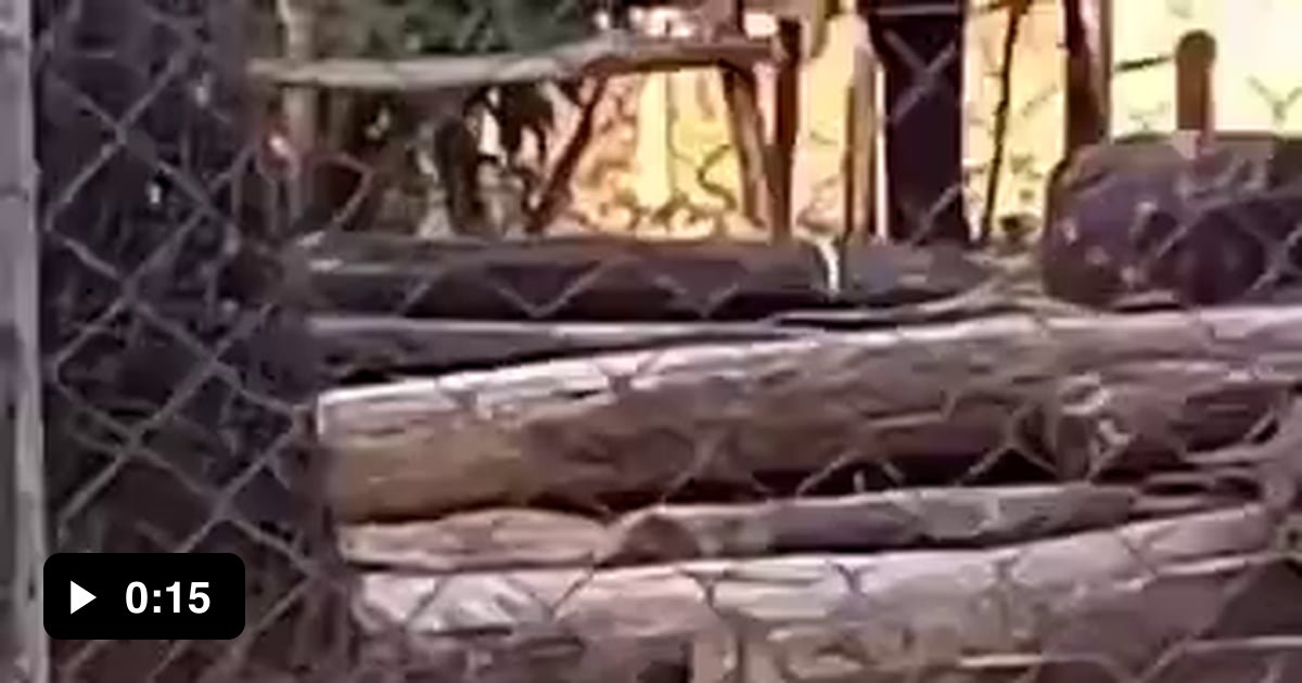 Everyone loves massage - 9GAG