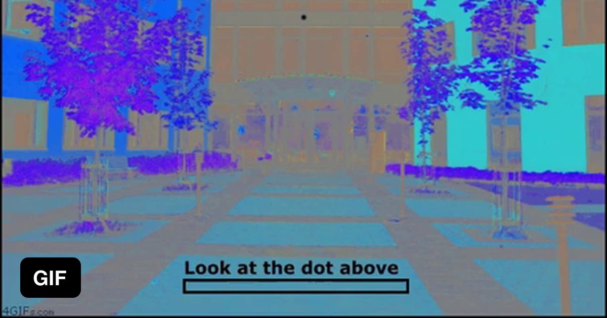 3 april 2019. Wow - 9GAG