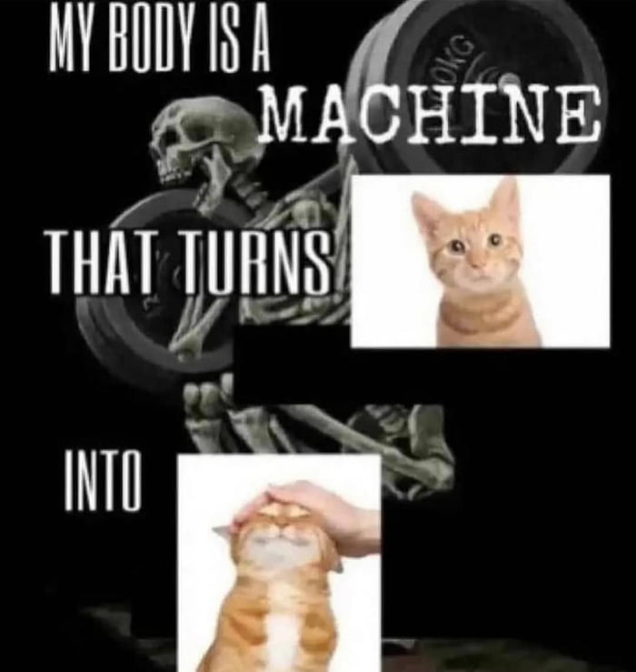 Witty toitol mate - 9GAG