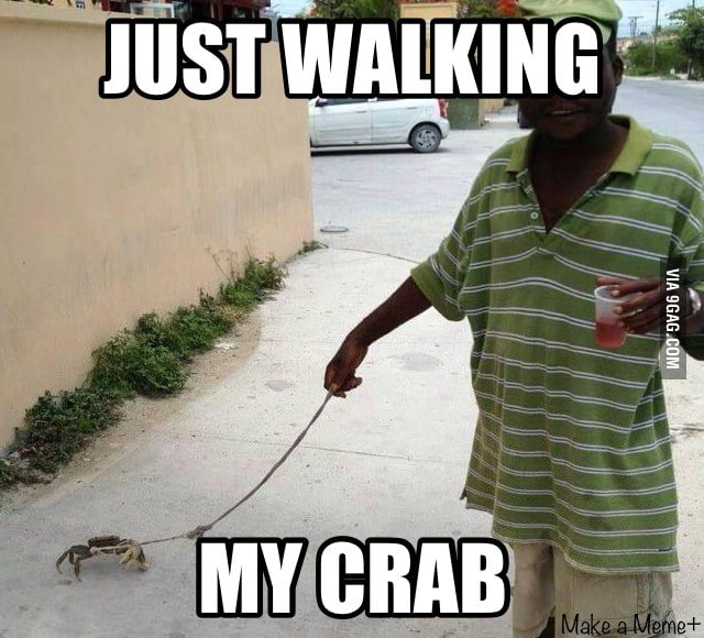 Just walking my crab - 9GAG