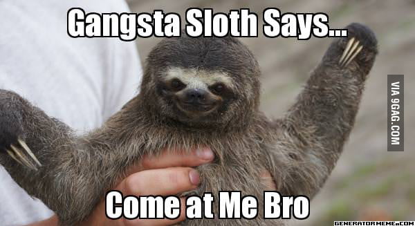 Gangsta Sloth - 9GAG