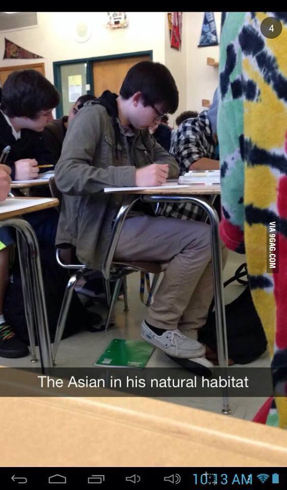 He looks so calm that strange creature... - 9GAG
