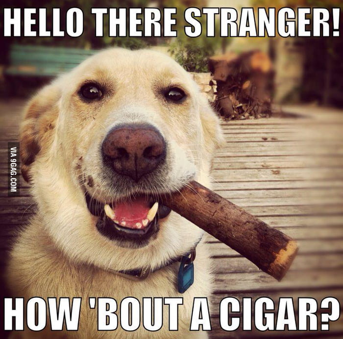 The "Good Guy" dog - 9GAG