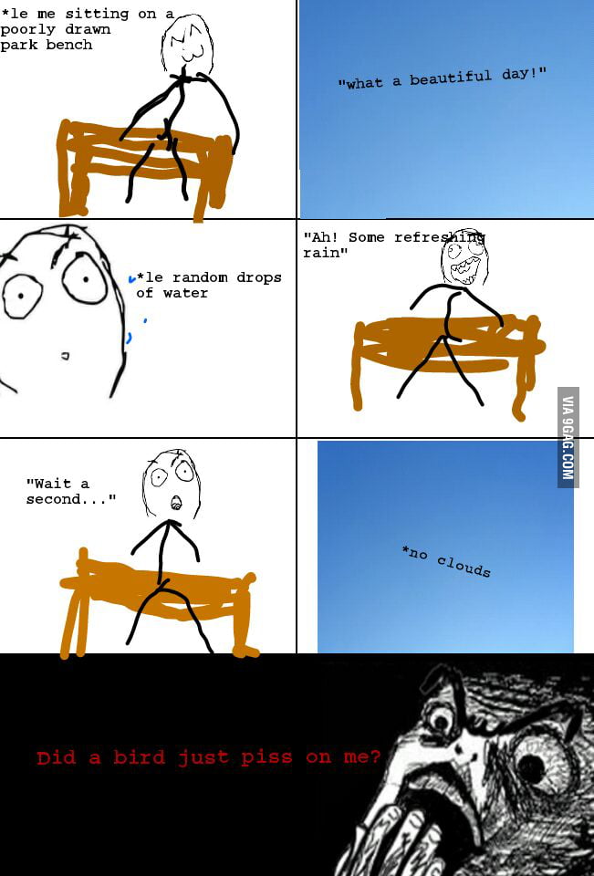 Bird rage - 9GAG