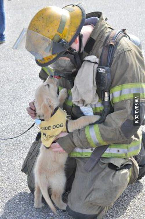 Service Puppy meets Firefighter - 9GAG