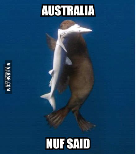 Australia mate. - 9GAG