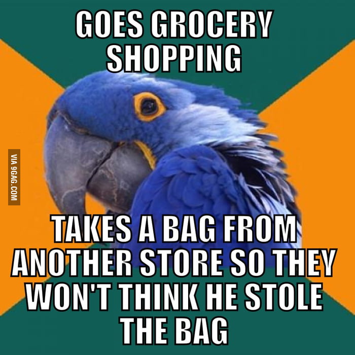 Paranoid Parrot - 9GAG