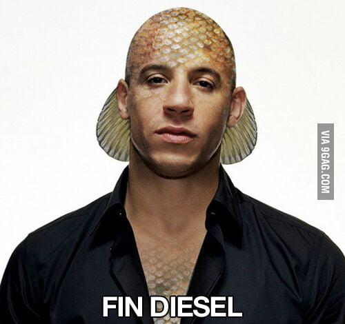 Mistakenly Googled "Fin Diesel" - was not disappointed. - 9GAG