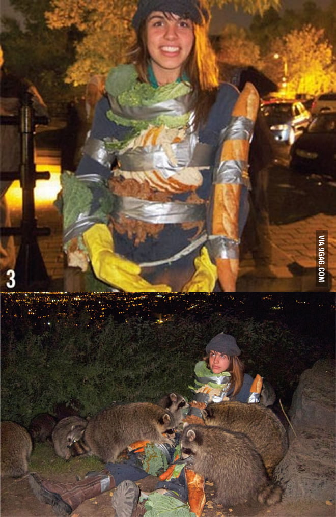 Raccoon Log - Day 17 - Acceptance is finally imminent. - 9GAG