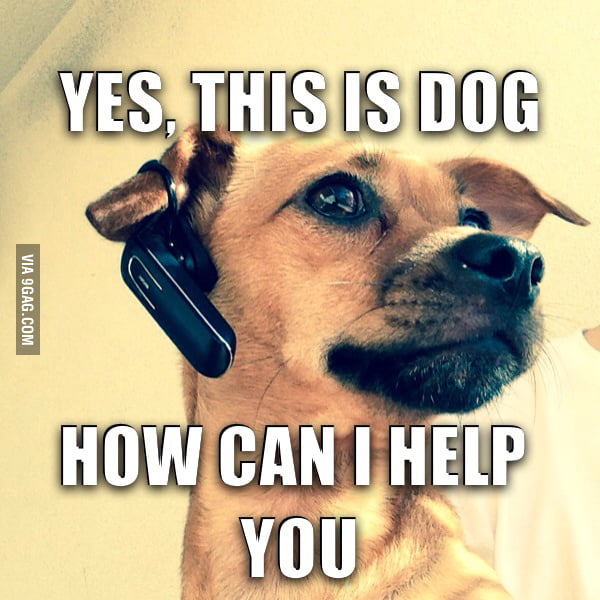 Call center dog - 9GAG
