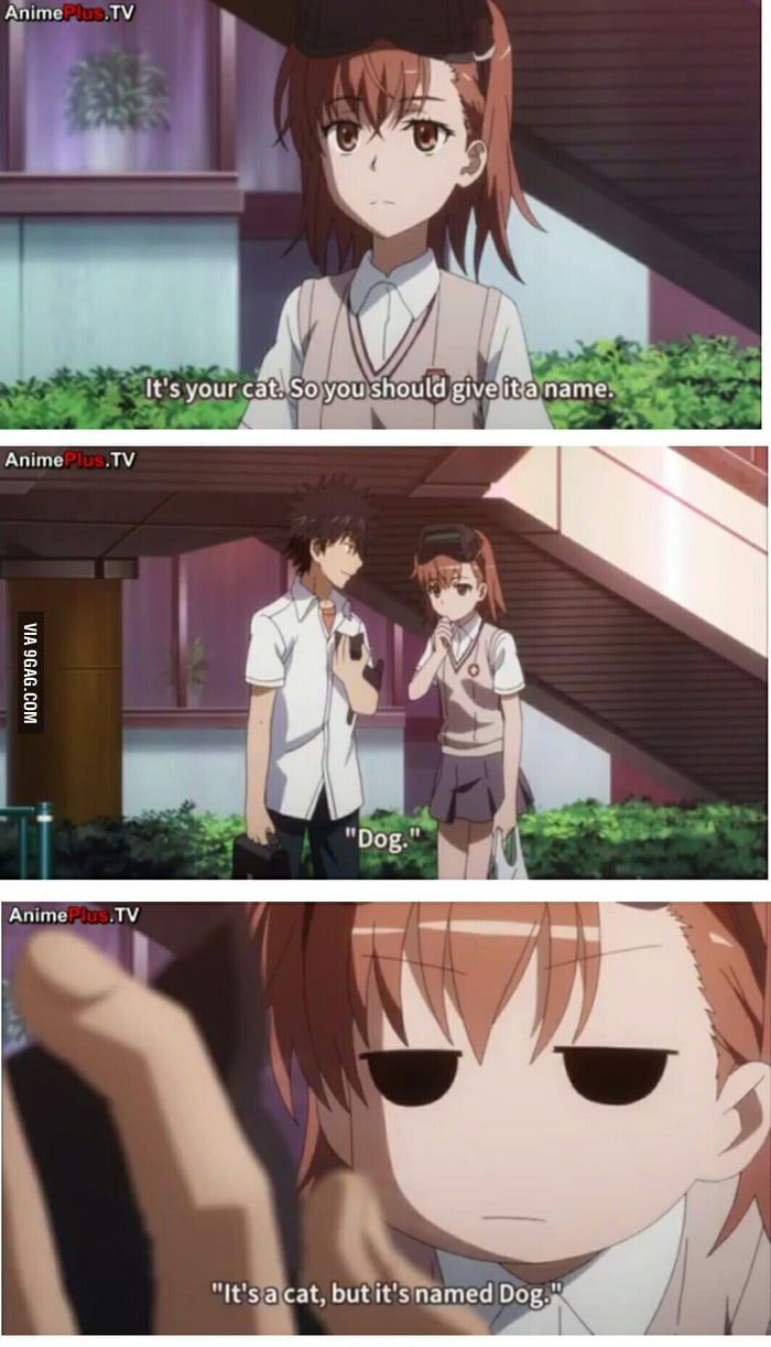 Flawless logic - 9GAG