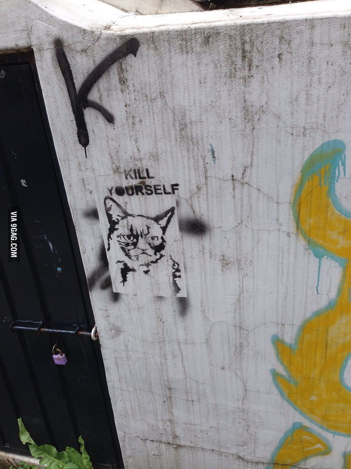 Grumpy Cat graffiti in Korea - 9GAG