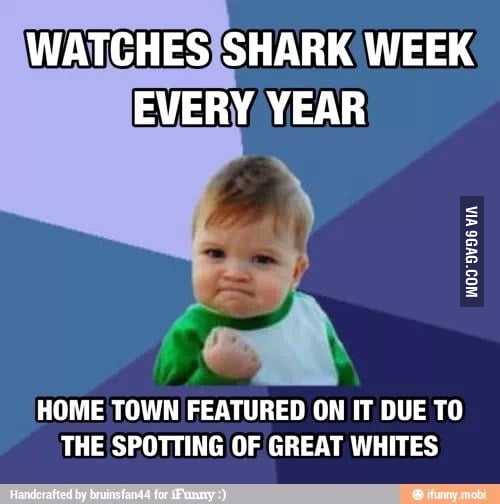 The coast of cape cod - 9GAG