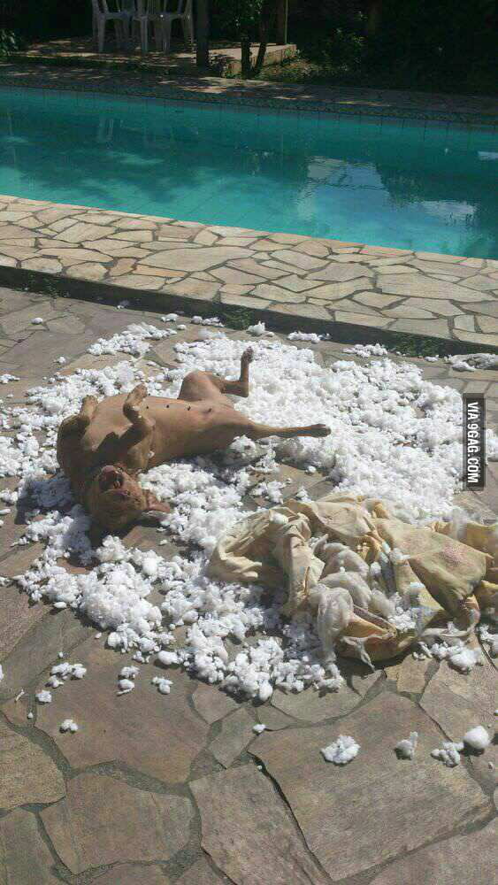 Oopss...that was not my fault...my bed just EXPLODE! - 9GAG