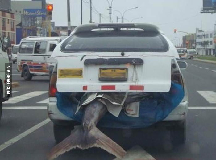 Car in Front of Me Was Seriously Fishtailing - 9GAG