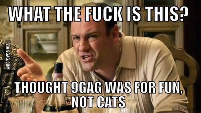 I remember jokes on 9gag not repost and cats - 9GAG